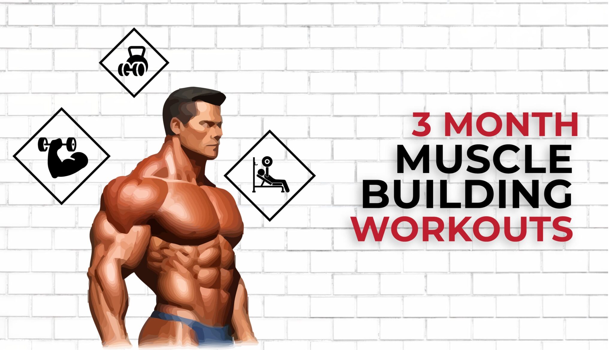 3 Month Muscle Building Workout