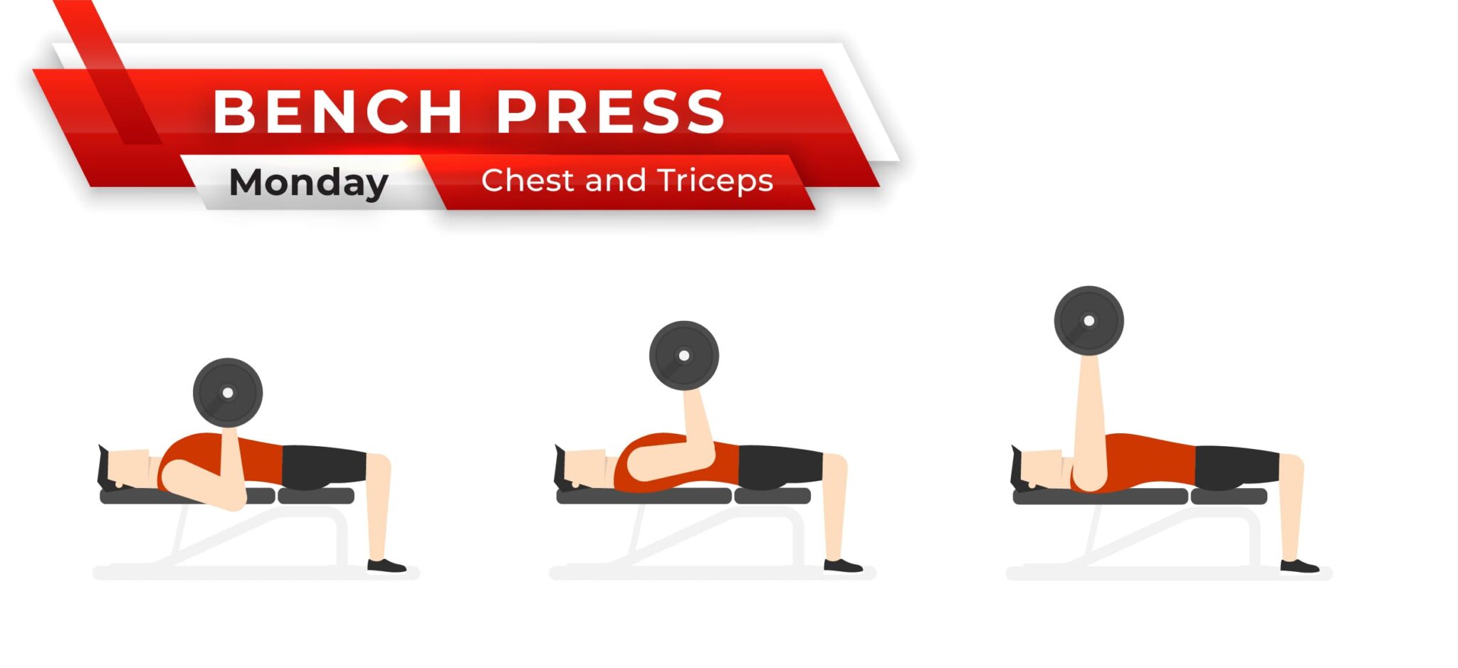 3 Month Muscle Building Workout