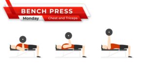 3 Month Muscle Building Workout