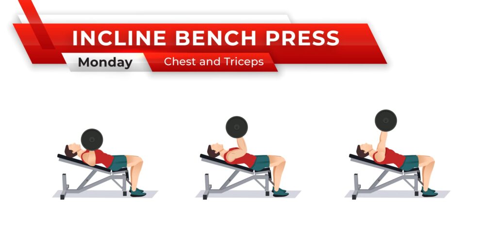 3 Month Muscle Building Workout