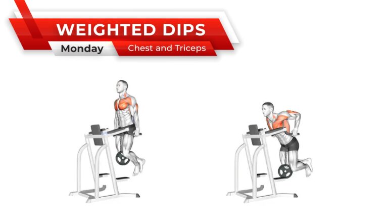 3 Month Muscle Building Workout