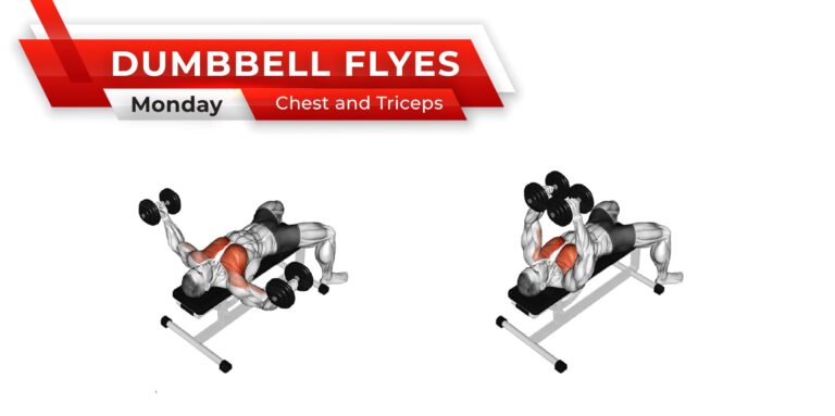 3 Month Muscle Building Workout