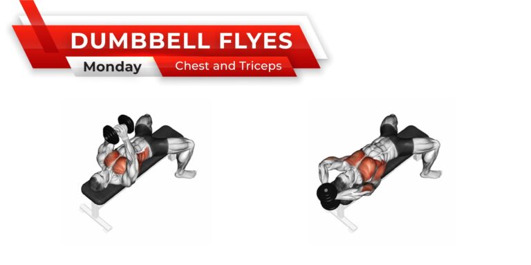 3 Month Muscle Building Workout