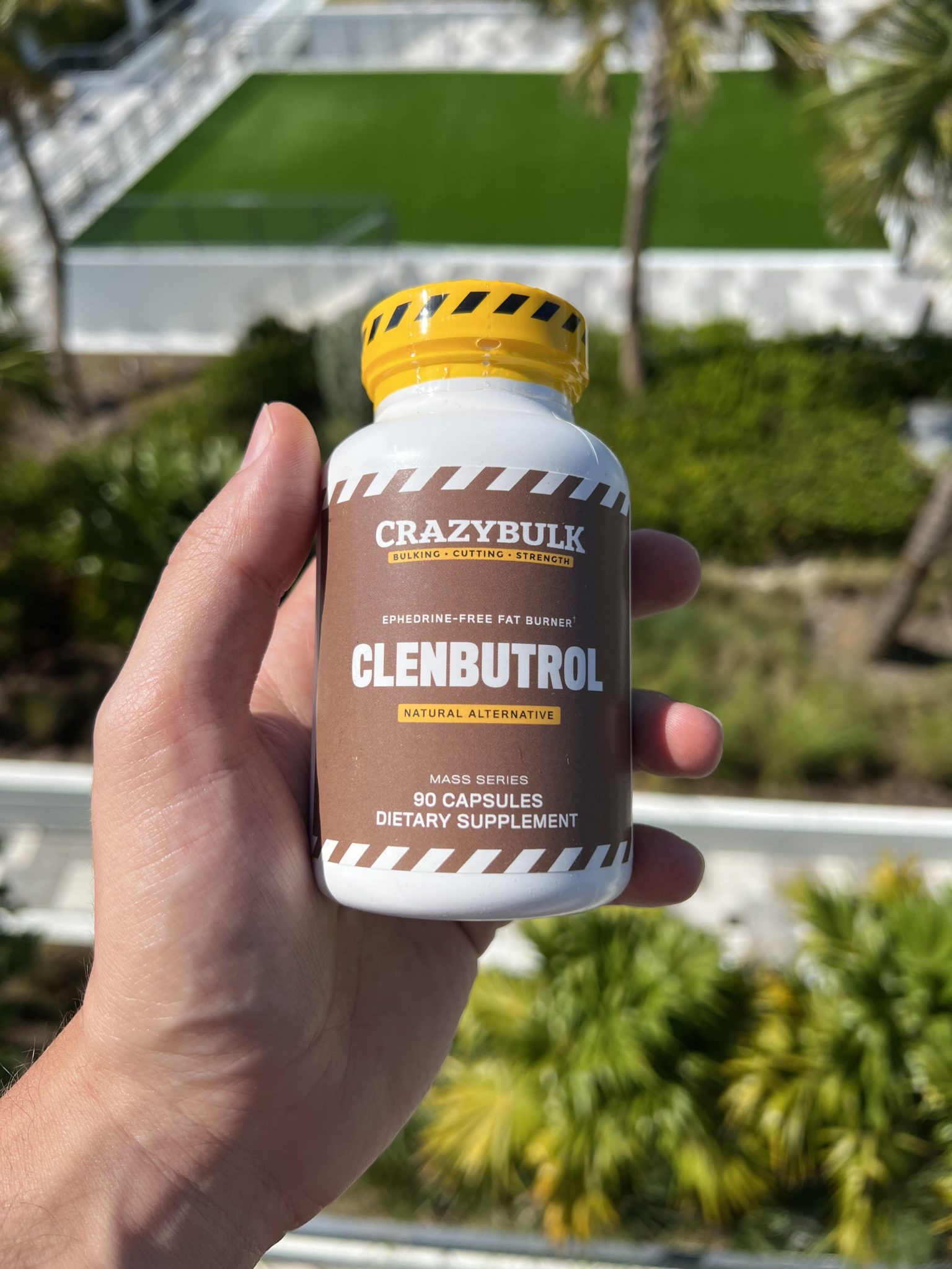 5 Best Steroids And Cycles For All Levels
