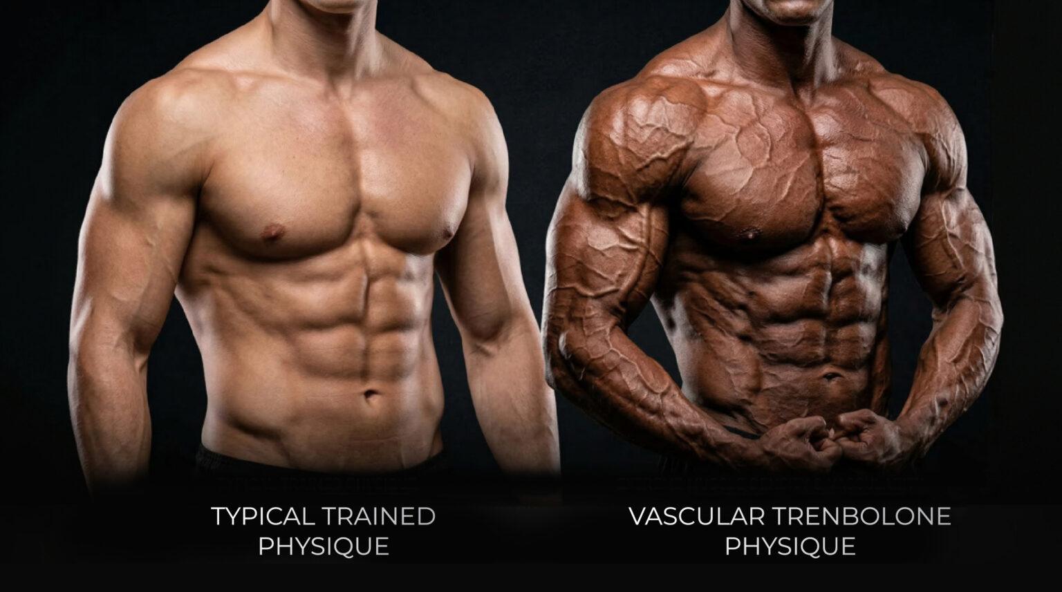 Trenbolone Review For Bodybuilding With Side Effects