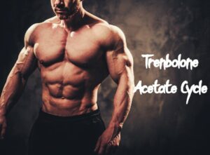 Trenbolone Acetate Cycle: The Game Changing Compound!