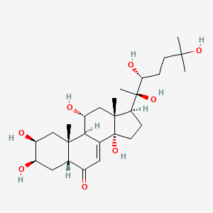 Turkesterone Review (2026) | Natural Alternative To Steroids