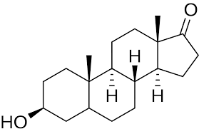 Epiandrosterone Review I Results, Dosage And Side Effects