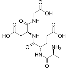 Epitalon | Muscle And Brawn