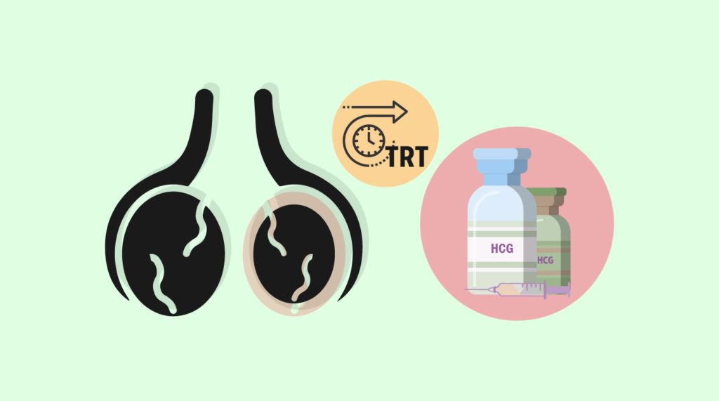 TRT Vs Steroids - Legal, Differences, Side Effects
