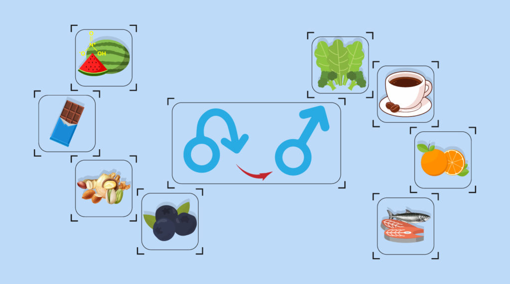 Foods For Erectile Dysfunction - Natural Viagra, Blood Flow