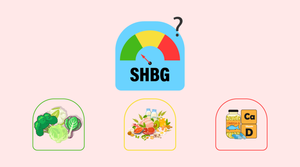 How To Lower SHBG? - Supplements, Females, Bodybuilding