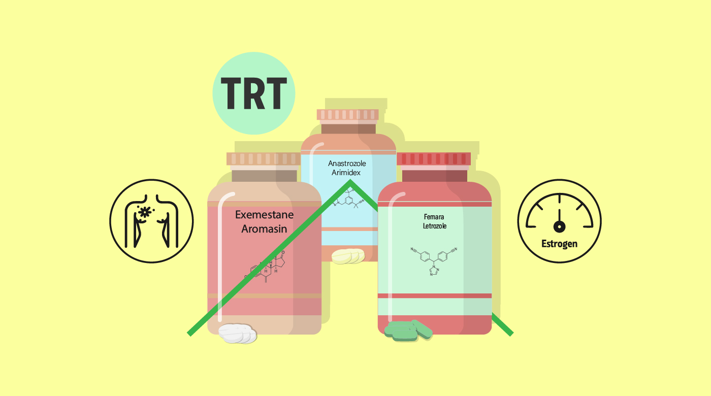 Estrogen Blockers And TRT: Guide And Instructions (2025)