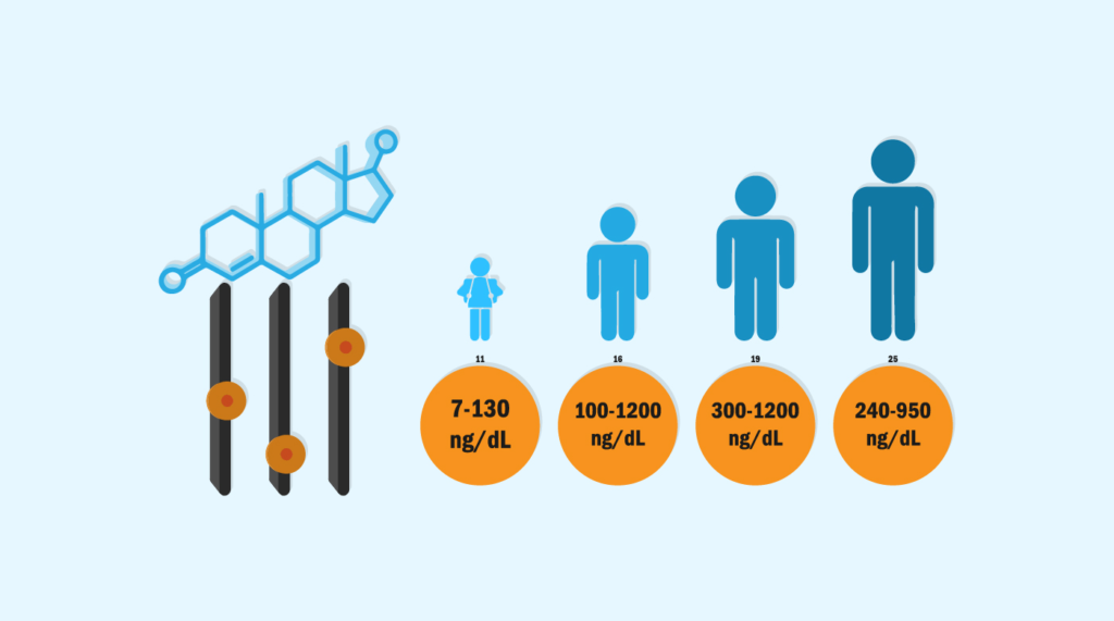 Free Testosterone Range: What Is Good? - Levels By Age Chart