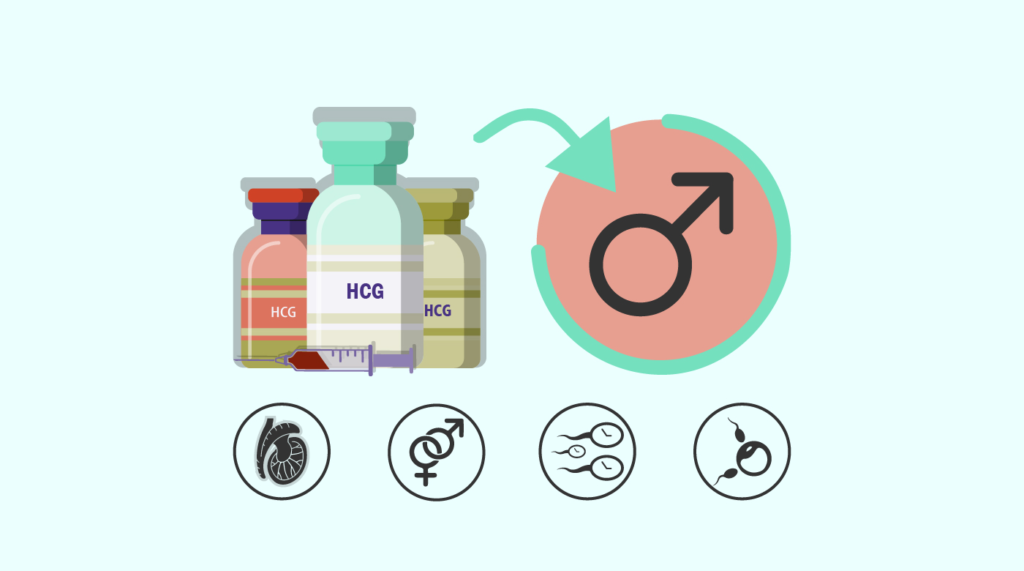 HCG For Men