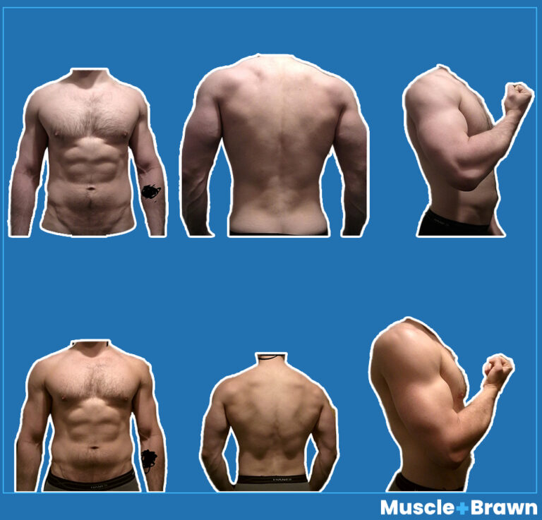 LGD 4033: Before And After - Dosages, Bulking, Fat Loss