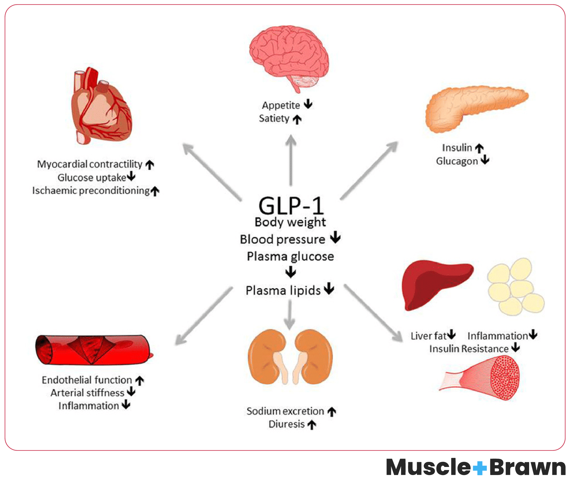 Best Semaglutide Sources (Generic Ozempic)