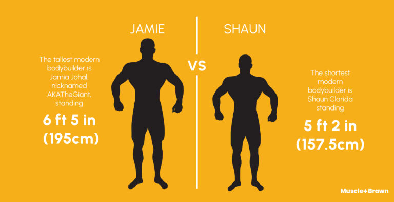 Average Bodybuilder Height And Sizes: Statistics, And Facts