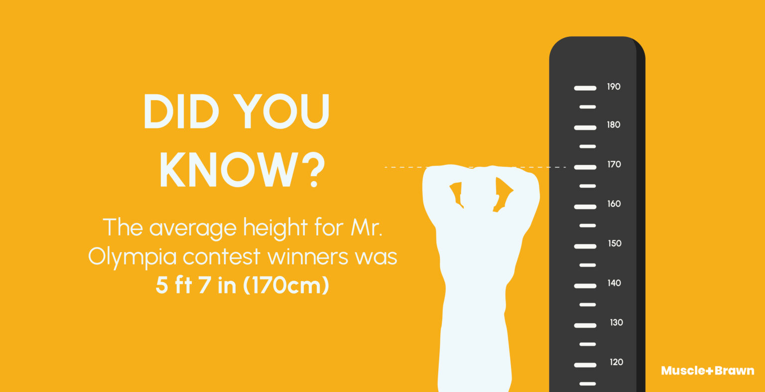 Average Bodybuilder Height And Sizes: Statistics, And Facts
