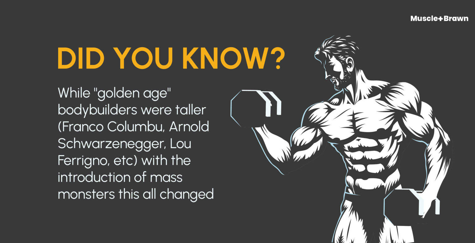 Average Bodybuilder Height And Sizes: Statistics, And Facts