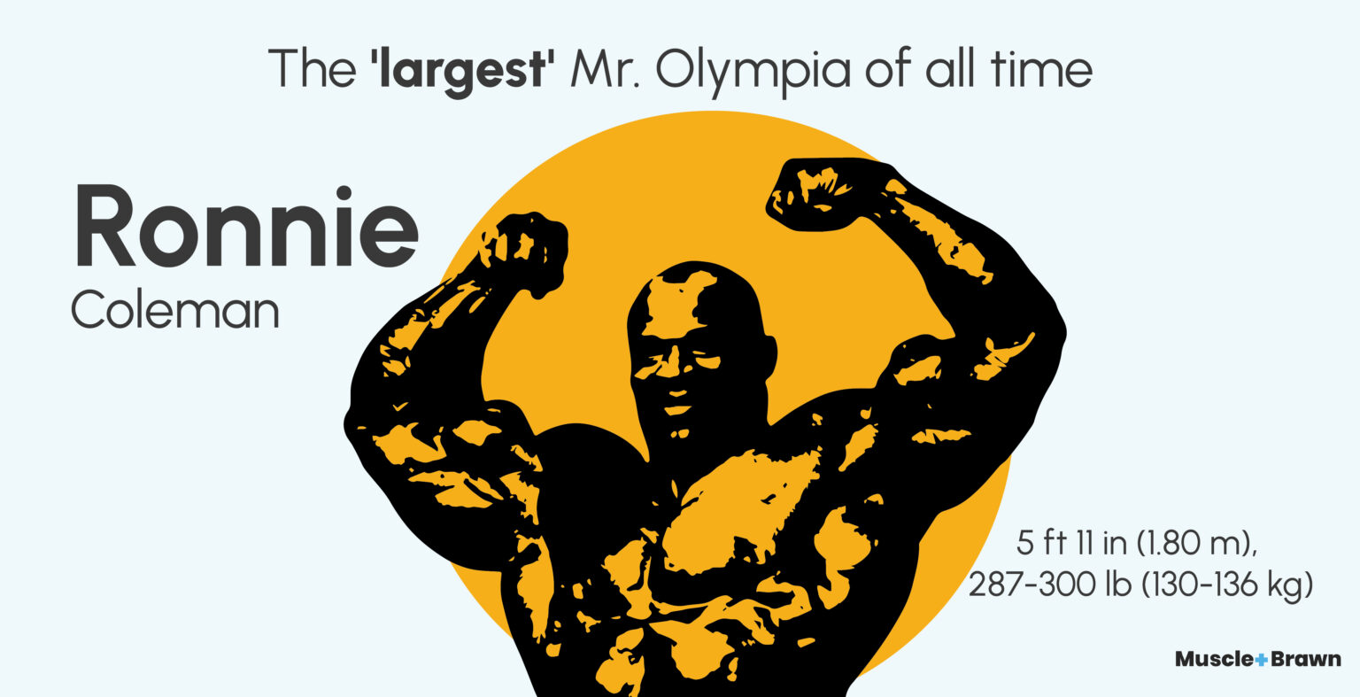 Average Bodybuilder Height And Sizes: Statistics, And Facts