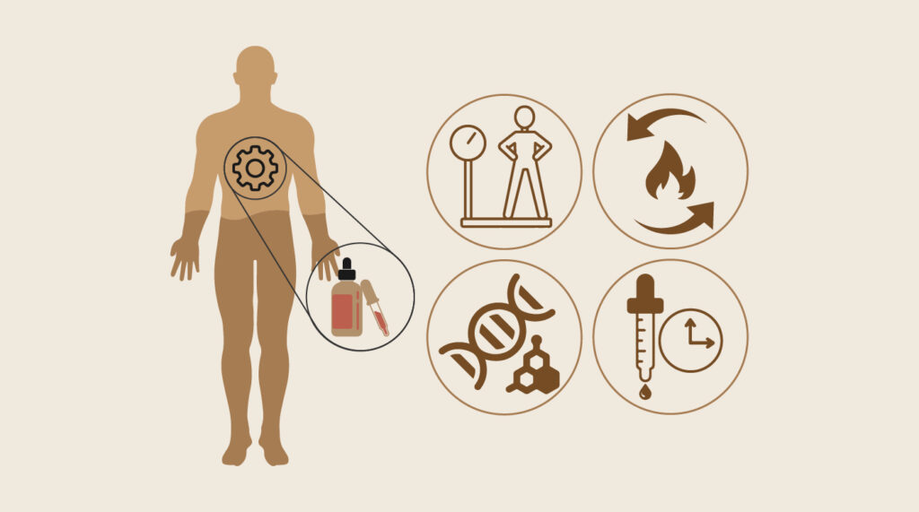 How Long Do SARMs Stay In Your System?