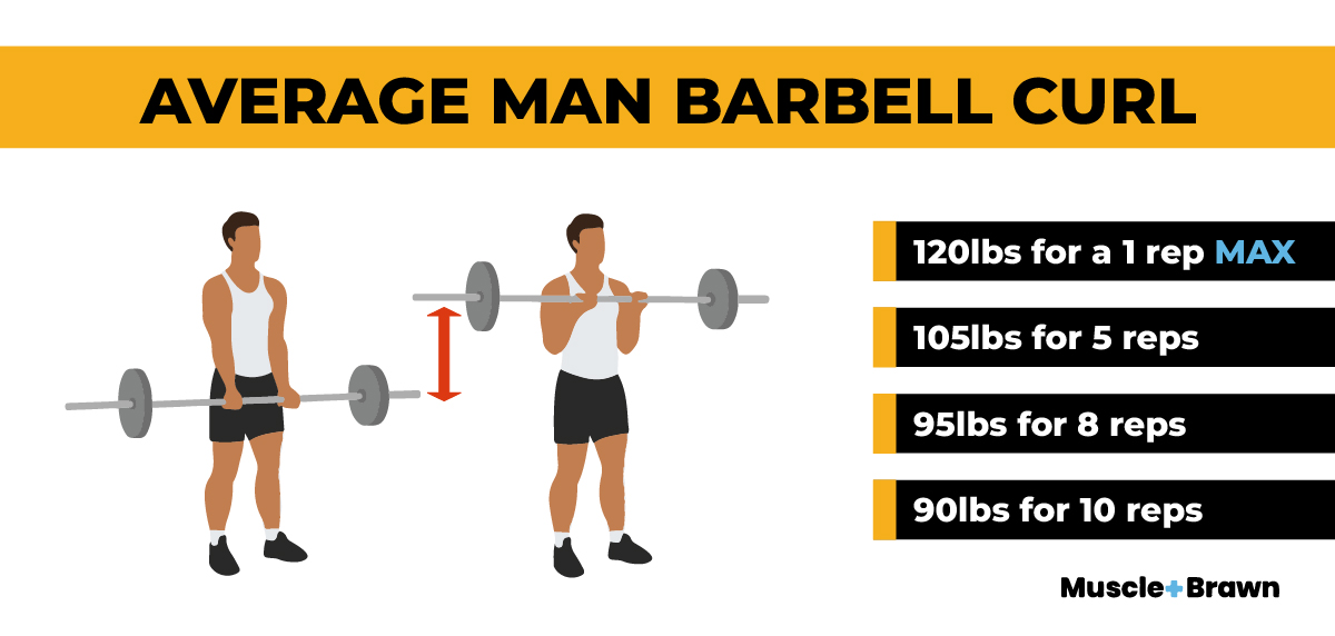 Male Vs Female Average Strength - The Top 10 Facts