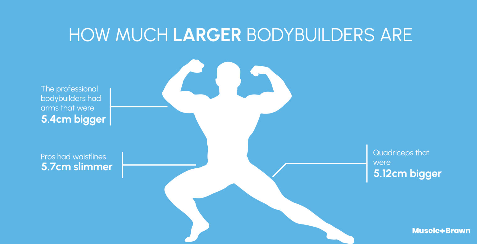 21 Bodybuilding Statistics: Sizes, Steroids, BMI And Weights