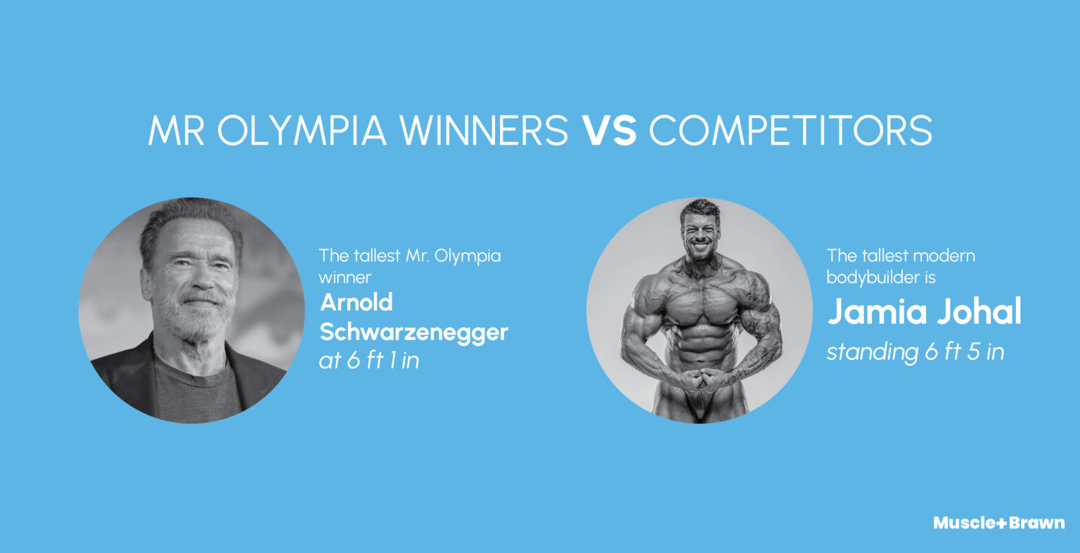 Average Bodybuilder Height And Sizes: Statistics, And Facts