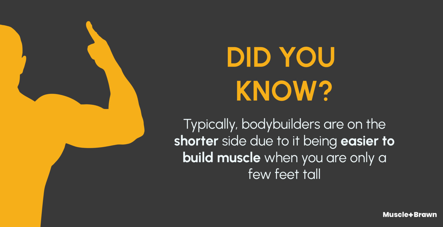 Average Bodybuilder Height And Sizes: Statistics, And Facts