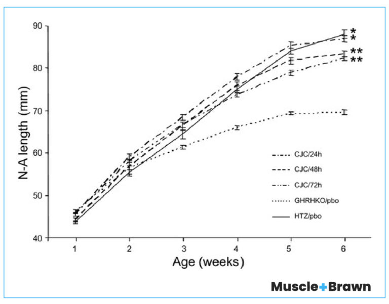 CJC 1295 Peptide Guide - Benefits, Effects, Dosage, Side Effects