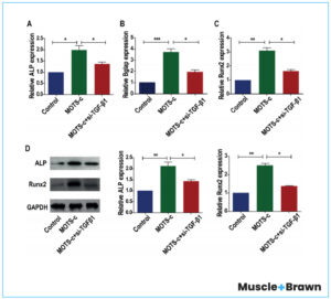 MOTS-C Peptide Guide - Effects, Dosage, Side Effects : Side Effects And ...
