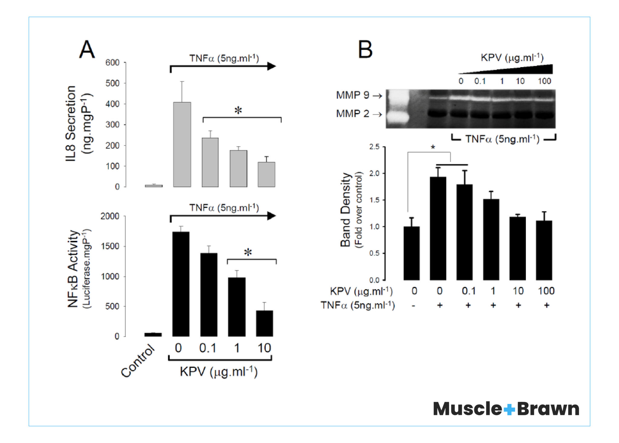 KPV Peptide Guide - Effects, Dosage, Side Effects