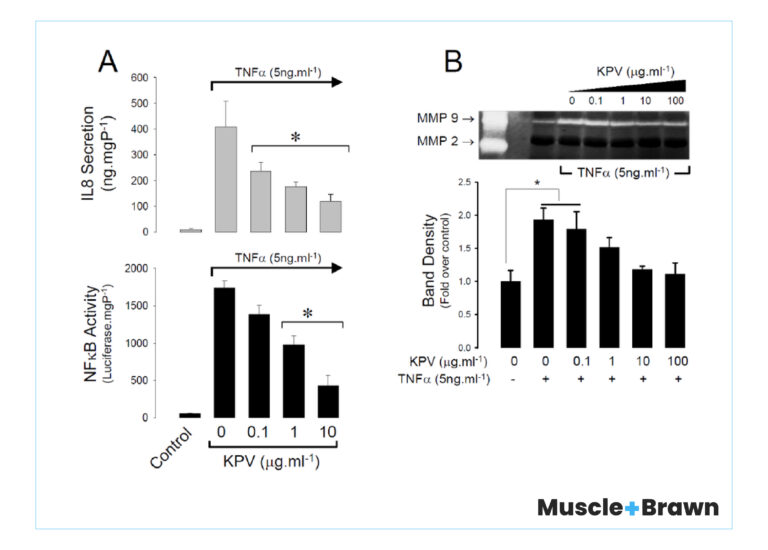 KPV Peptide Guide - Effects, Dosage, Side Effects