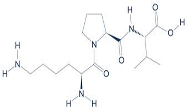 KPV Peptide Guide - Effects, Dosage, Side Effects