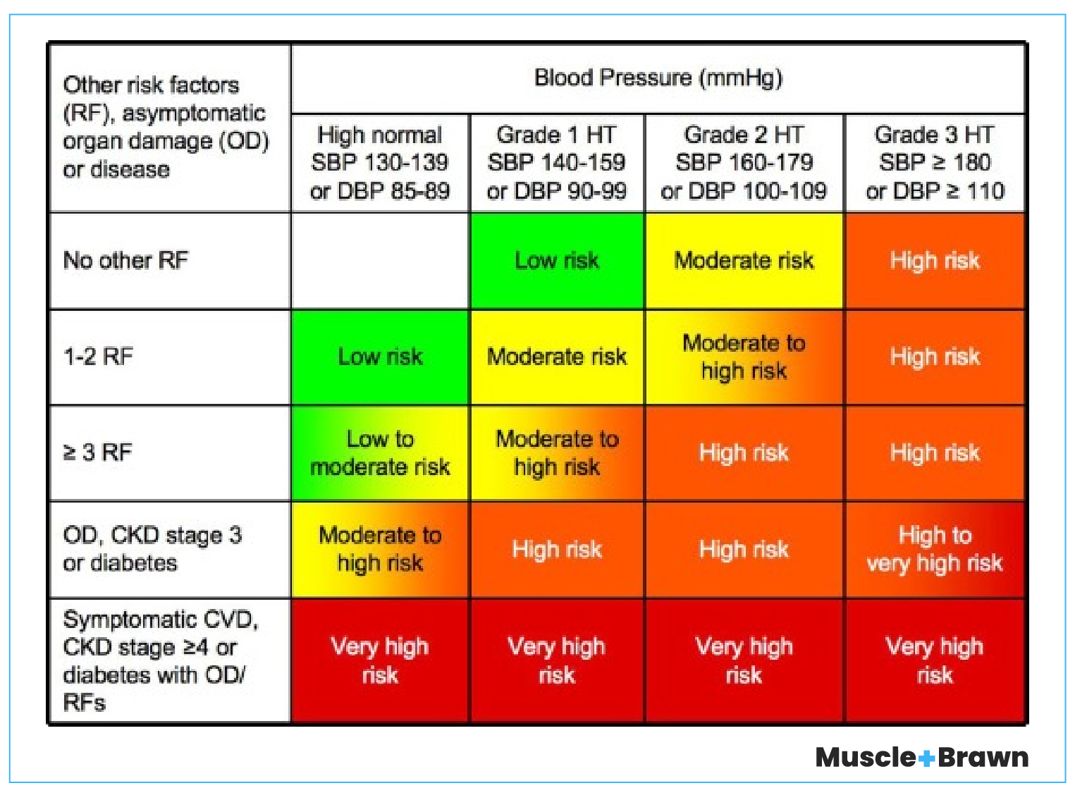 How To Read Blood Test Results - TRT And Bodybuilding