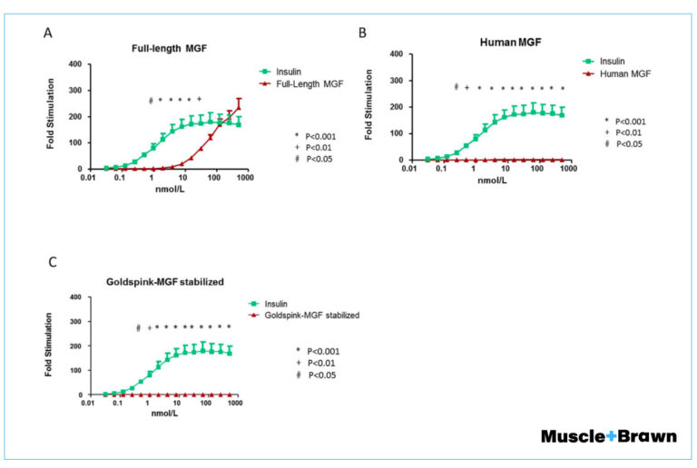 PEG-MGF Peptide Guide - Is It Really Worth It?