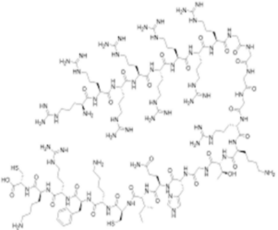PTD-DBM Peptide Guide - The Best Peptide For Hair Loss?