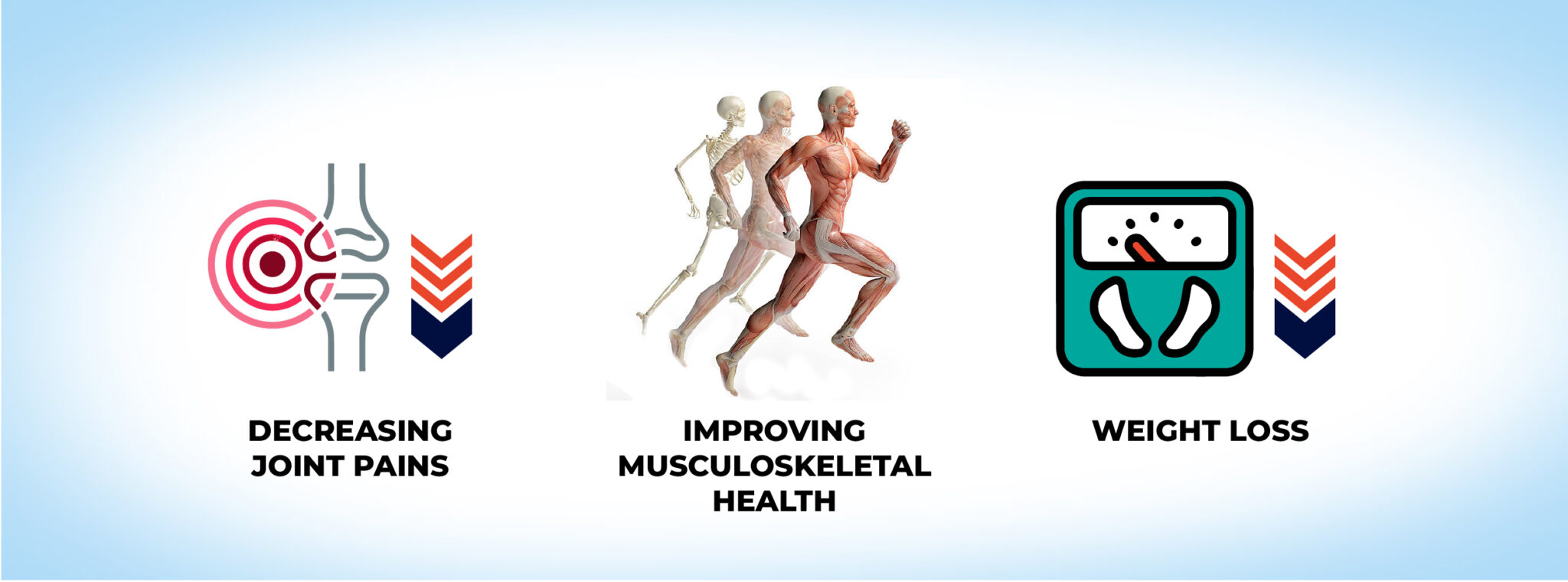 AOD 9604: Fat Burning Peptide Free Guide - How To Use, Dosage, Side ...