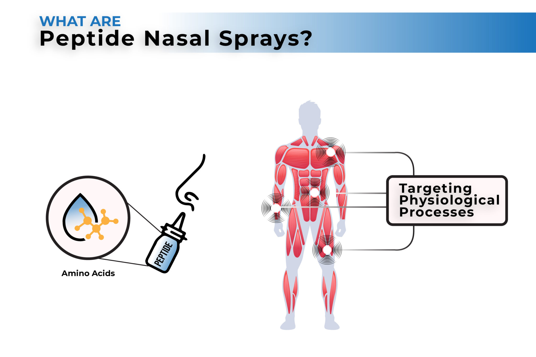 Peptide Nasal Sprays: A New Path To Health And Wellness