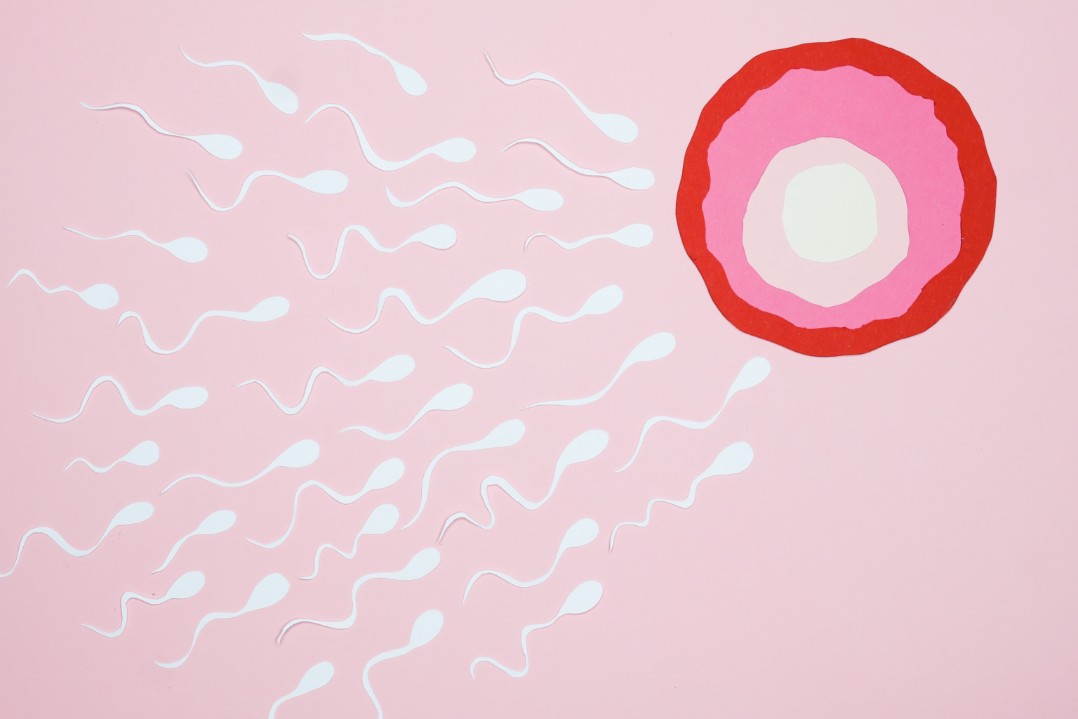 How To Increase Luteinizing Hormone Female Male Foods