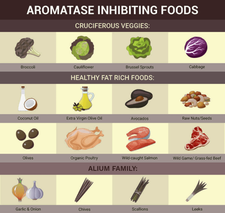 Estrogen Blockers And TRT: Guide And Instructions (2026)