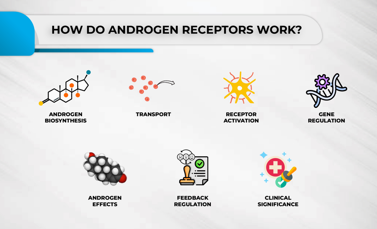 5 Best And Strongest SARMS - Fat Loss, Muscle Gain, Strength