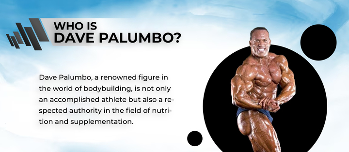 Roid Gut Revealed: Understanding Palumboism