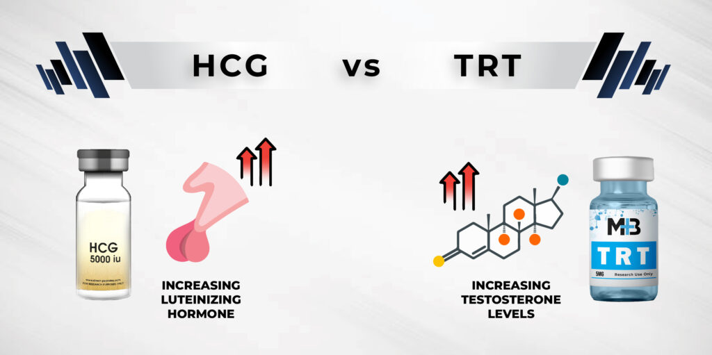 HCG For Bodybuilding - Dosage, Cycle, Side Effects