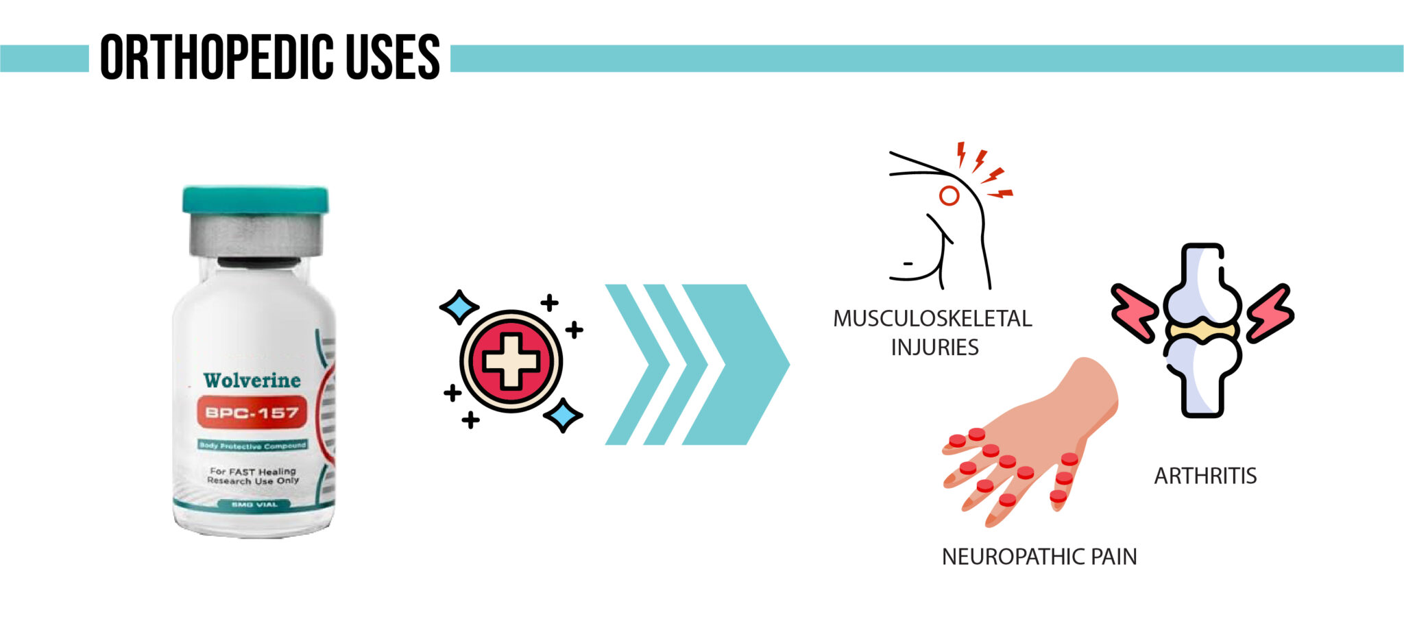 BPC 157: The Wonders Of The Wolverine Peptide - Dosage, Benefits & Side ...