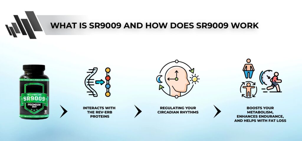 The Complete SR9009 Review And Buying Guide