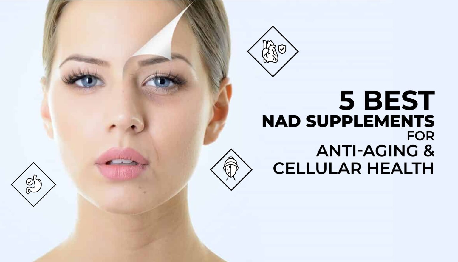 The 5 Best NAD Supplements For Anti-Aging And Cellular Health: Do They ...