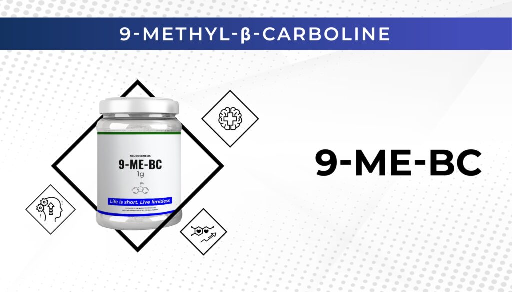 The 5 Best Nootropics For Anxiety In 2025