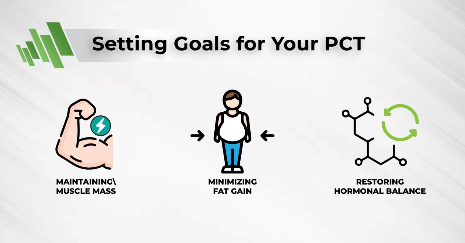 สุดยอดวงจร PCT เพื่อรักษากล้ามเนื้อ: เพิ่มประสิทธิภาพการฟื้นตัวของคุณ ...